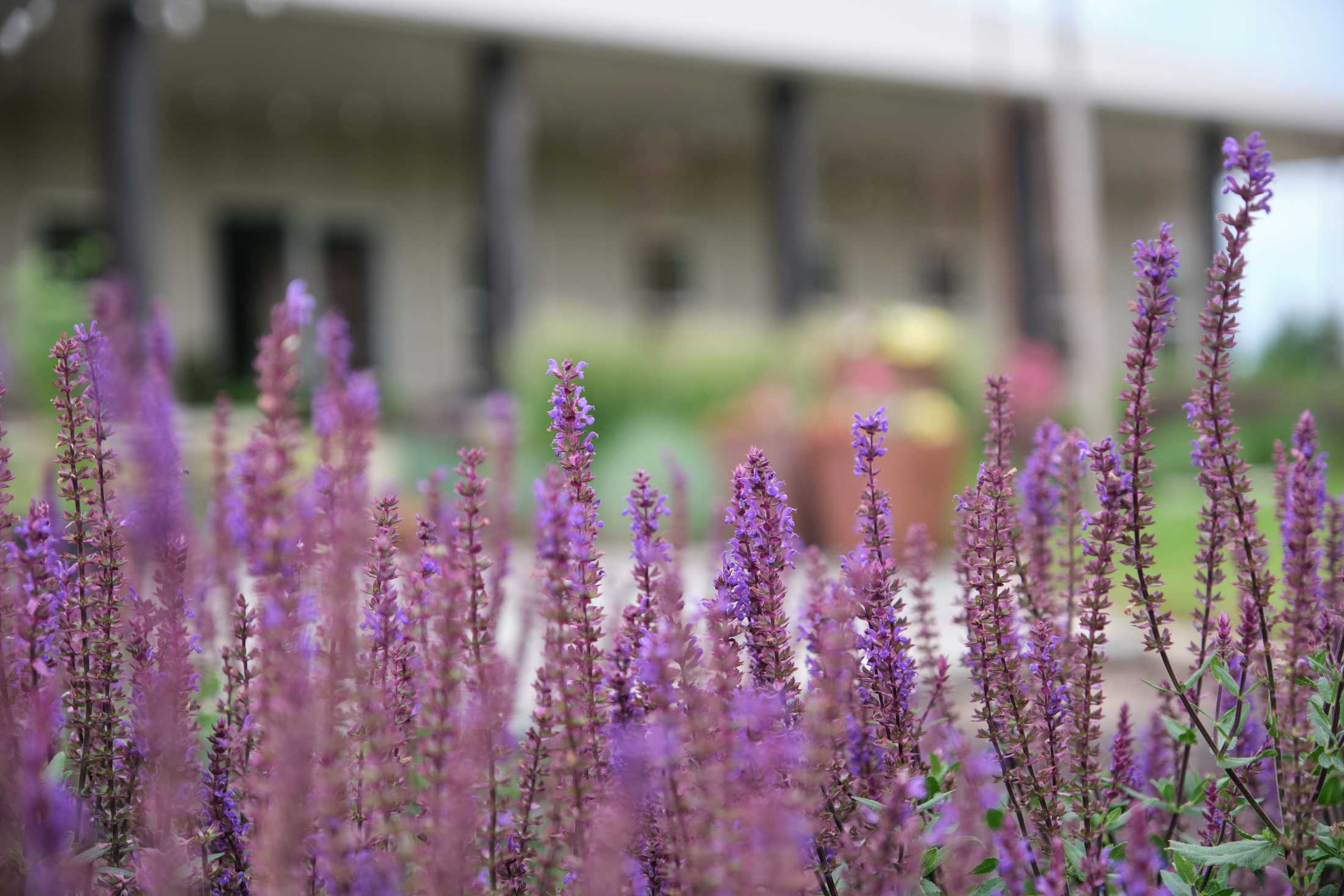 Better by Nature – Del’s Garden Center: Grow Naturally